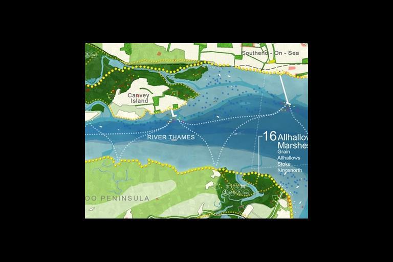 Farrell launches Thames Gateway Parklands masterplan | News | Building